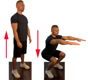 The 100 Squats a Day Challenge